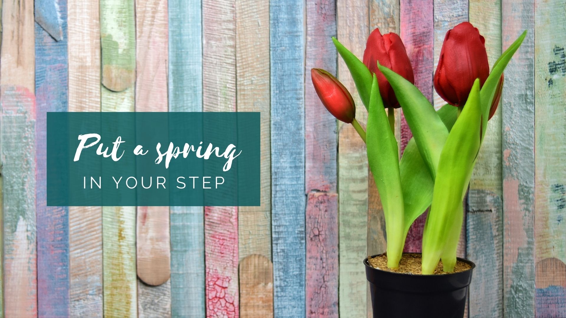 Put a spring in your step – The Welsh Italian Diaries